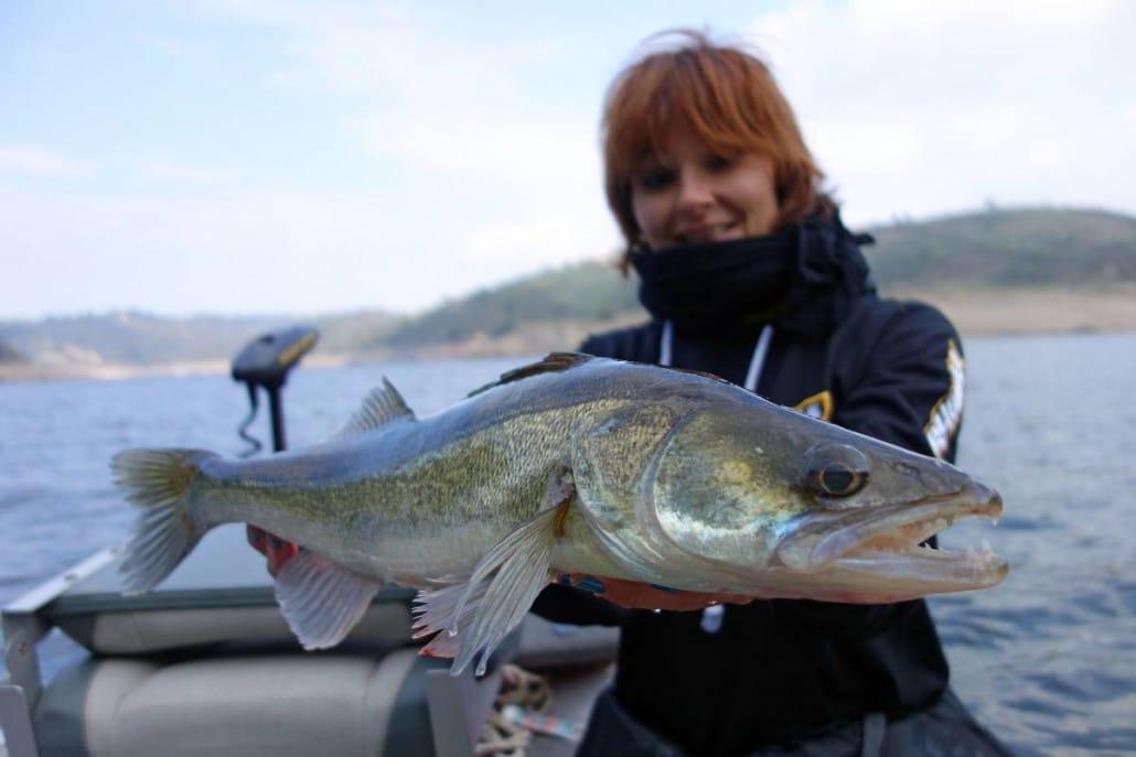 Verticalisation automnale ! - SAKURA-Fishing