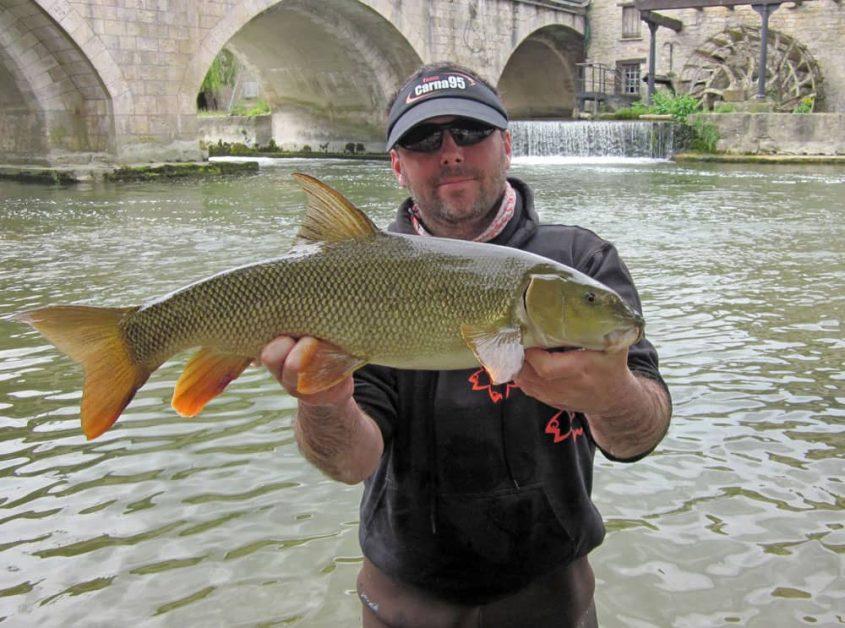 Addict à la pêche du Barbeau ! - SAKURA-Fishing